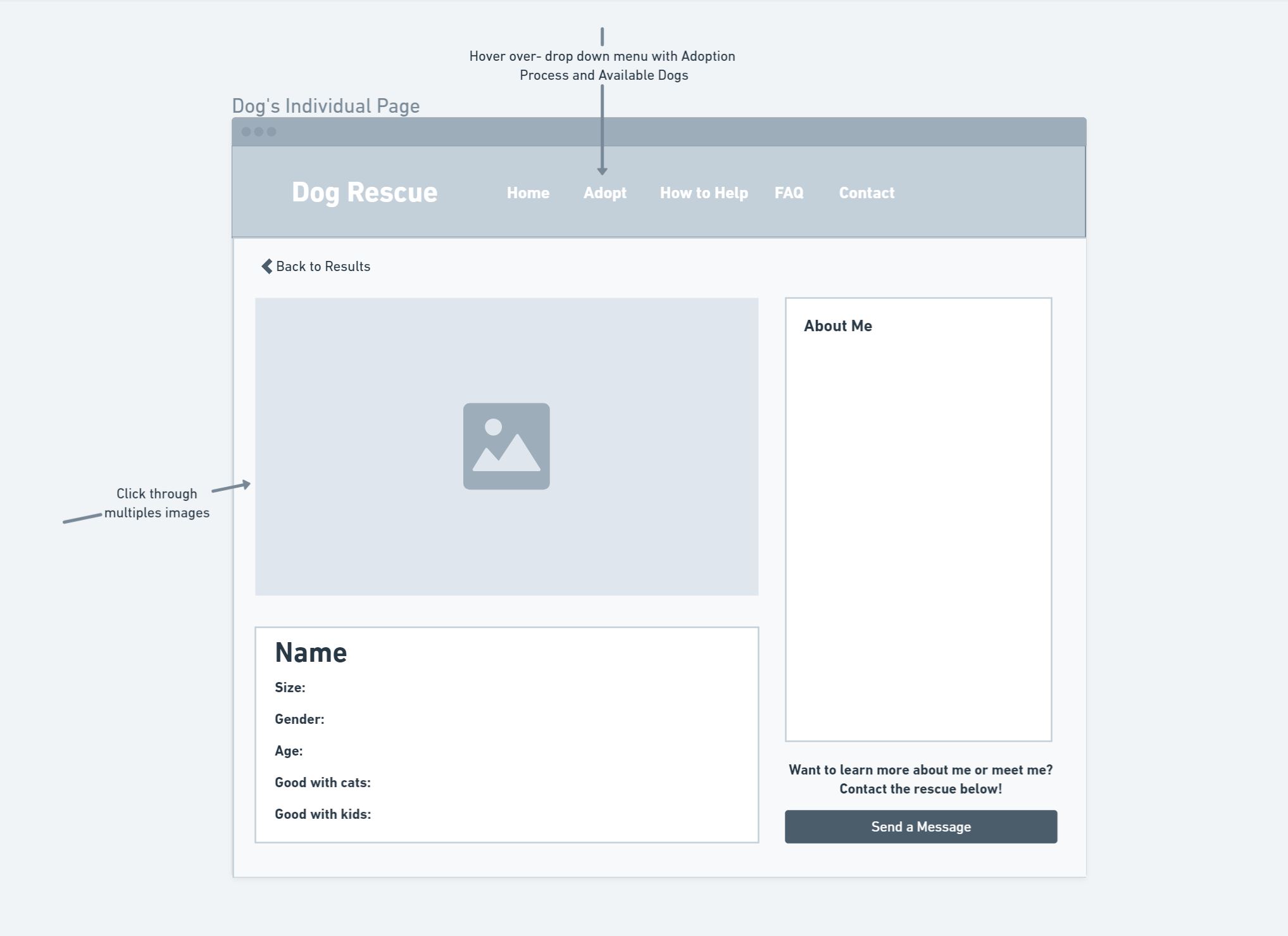 UX/UI – Lily Newton